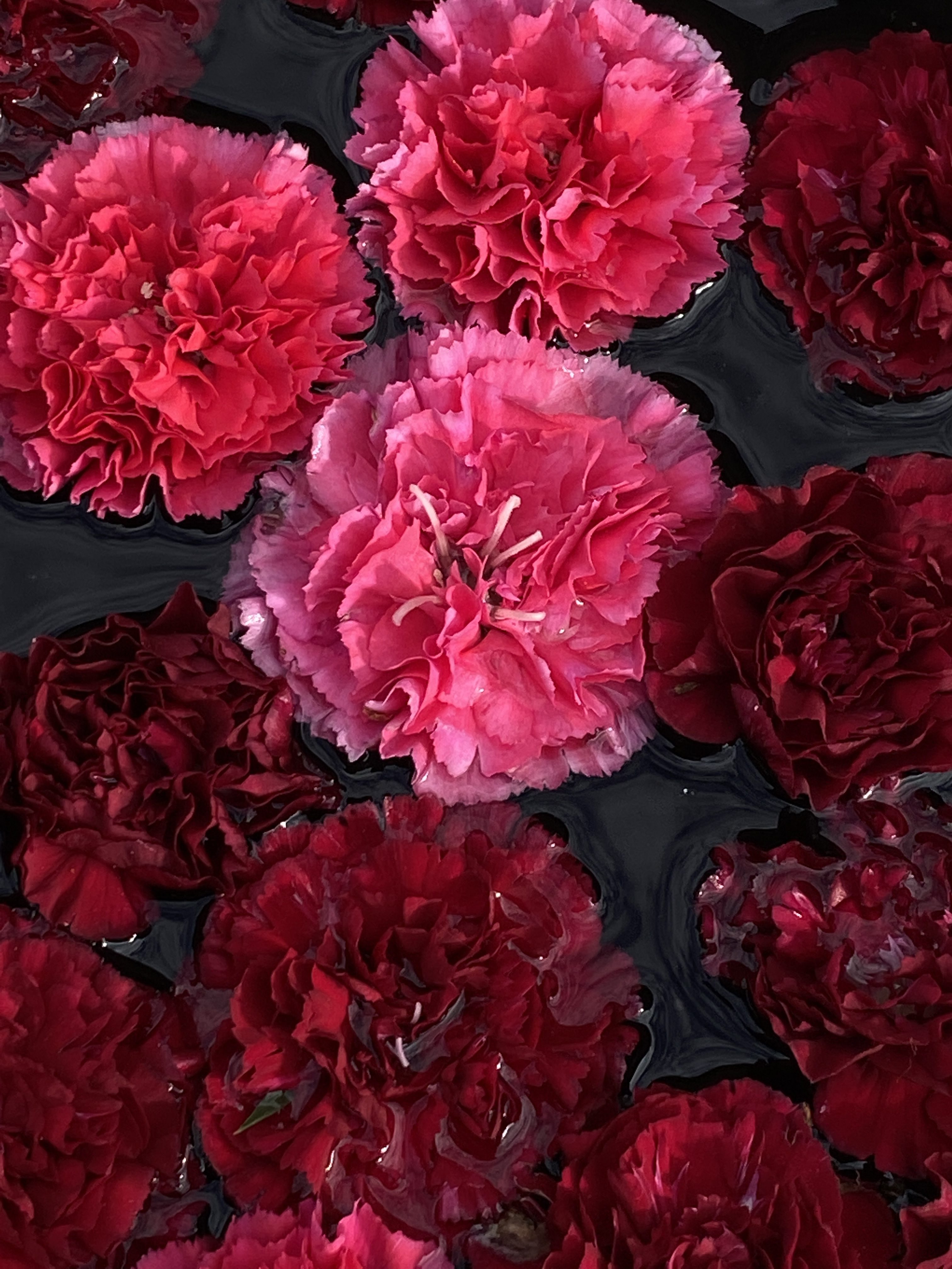 Festival Flora: arte, flores y patrimonio